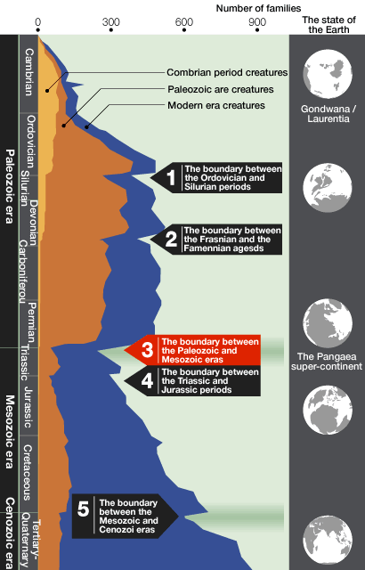 The major mass extinctions of th