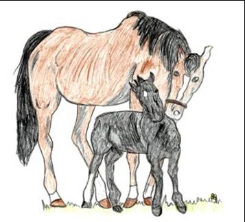 Piaget Paintings - Dr. Brian Burke 2005