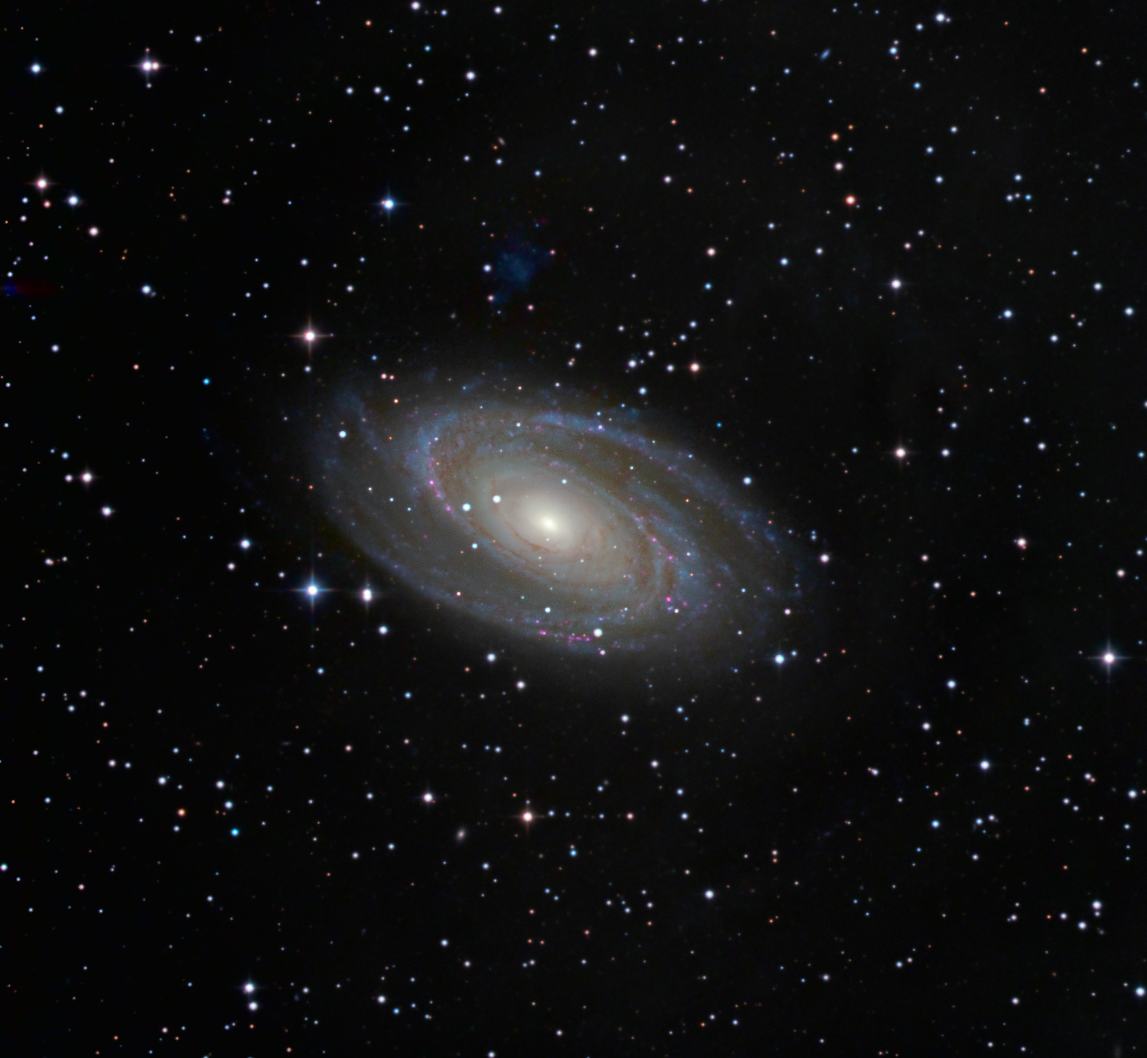 M81 - Bode's Galaxy - FLC Observatory